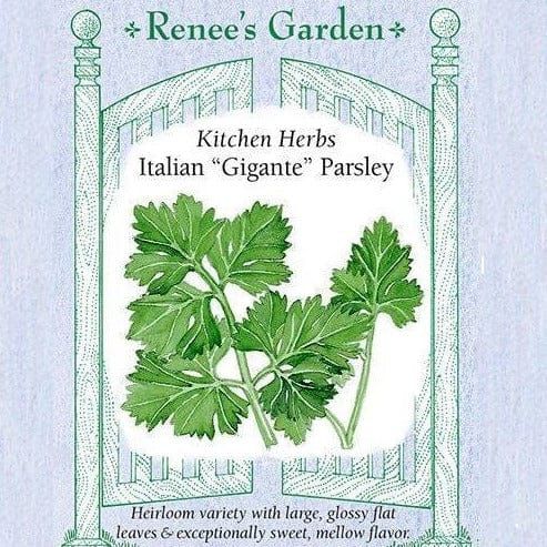 Greek Garden Parsley Salad - California Greek Girl — California Greek Girl