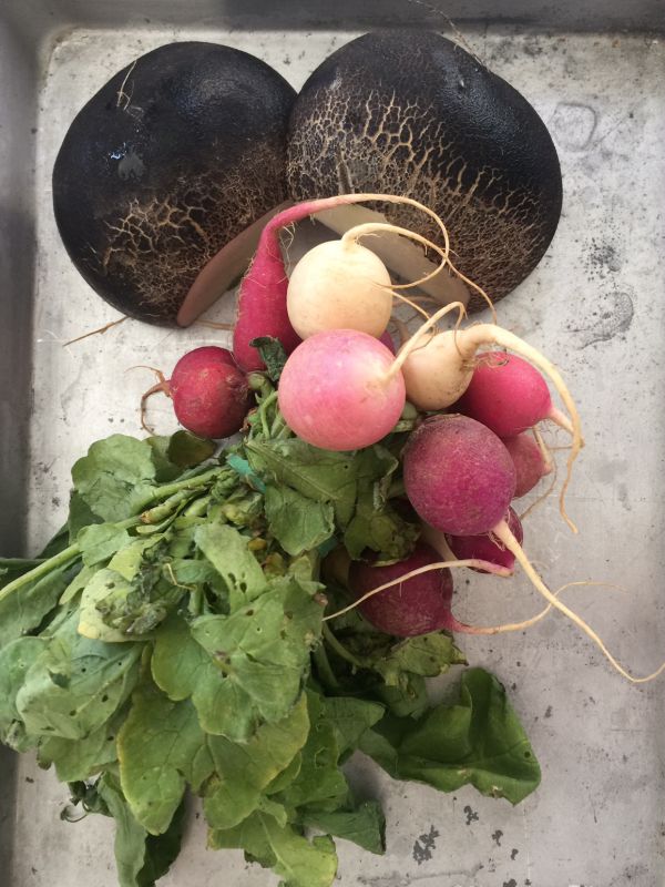 Garden Vegetable Quiche - California Greek Girl — California Greek Girl