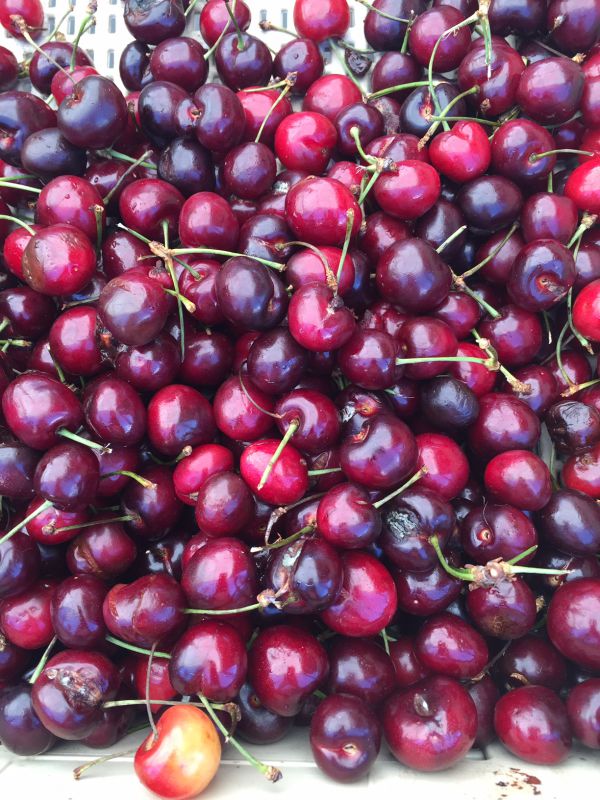 Spicy Greek Pickled Cherries - California Greek Girl — California Greek ...