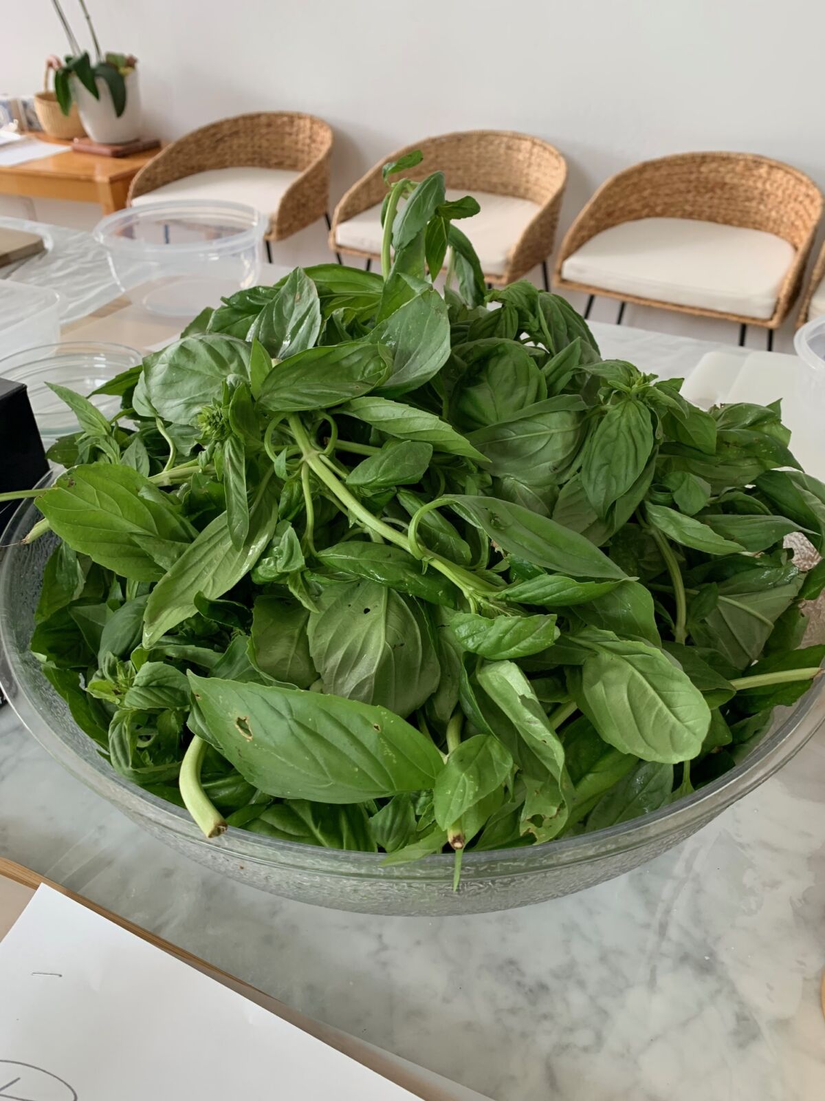 California Greek Girl — A Blog by Chef Mary Papoulias Platis